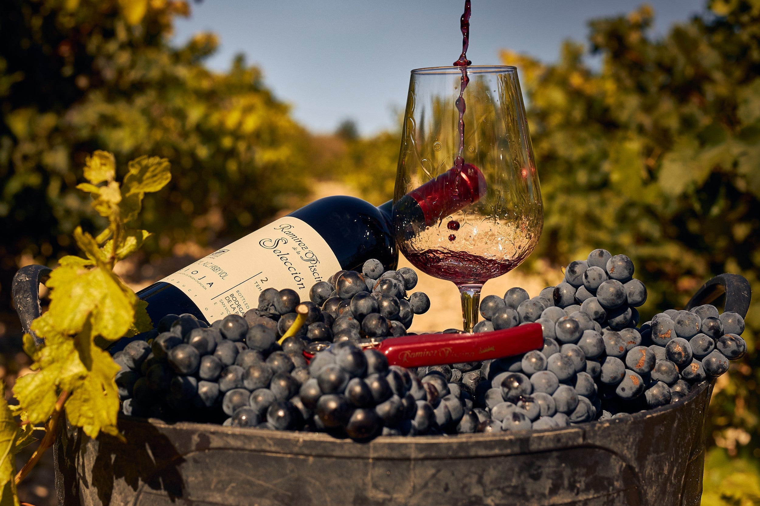The Ultimate Grape Guide: Tempranillo | Wine&Earth