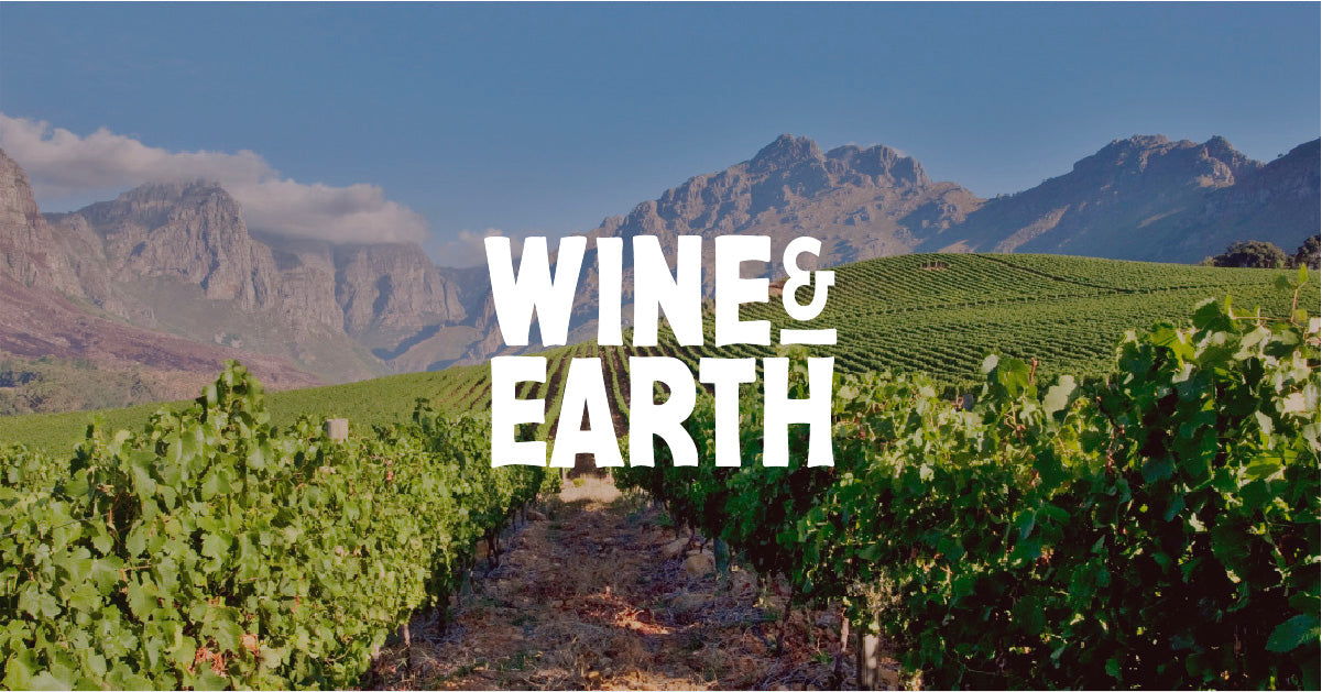 Wine&Earth | Buy Consciously Curated Quality Wines | Certified B-Corp